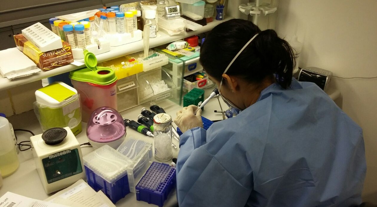 O cientista brasileiro é, antes de tudo, um forte – CONTEE